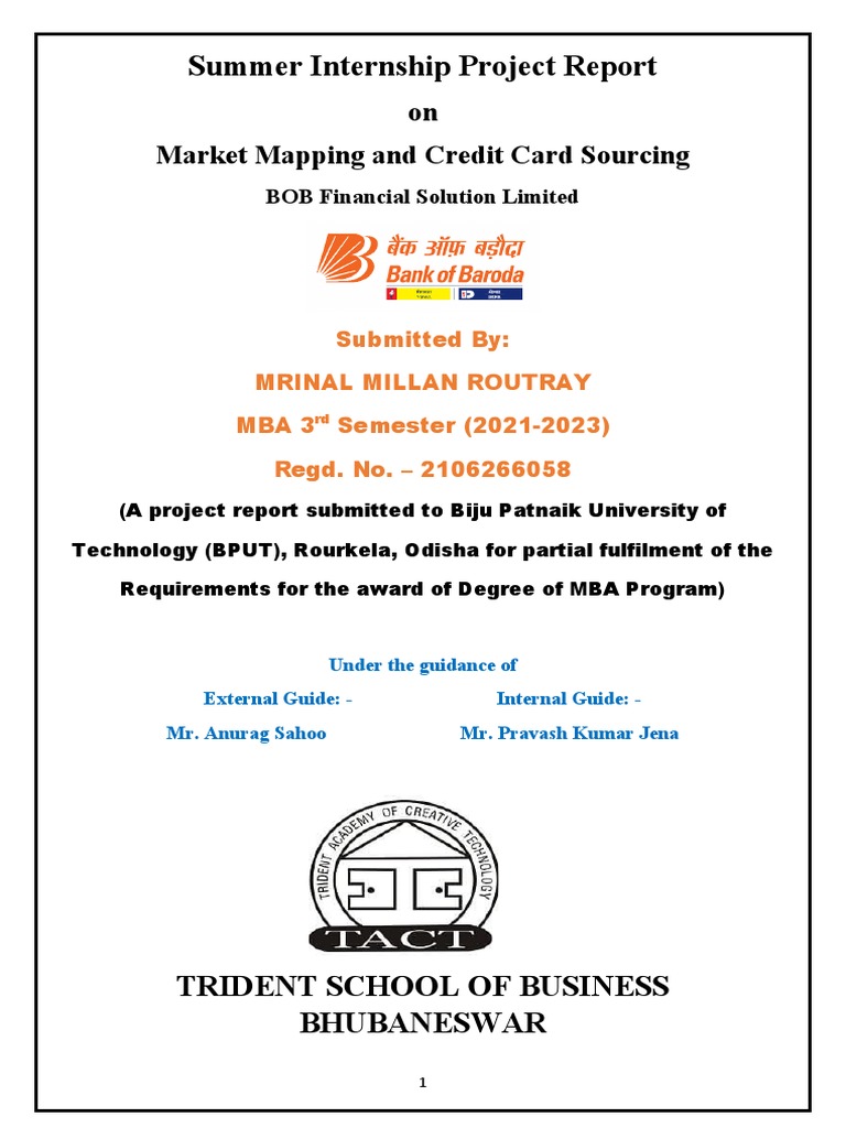 Summer Internship Project Report: On Market Mapping and Credit Card ...