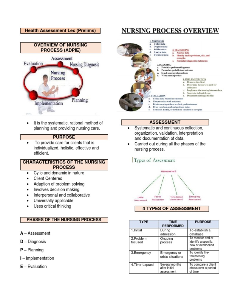 Nursing Process: Health Assessment Basics | PDF | Nursing | Cognition