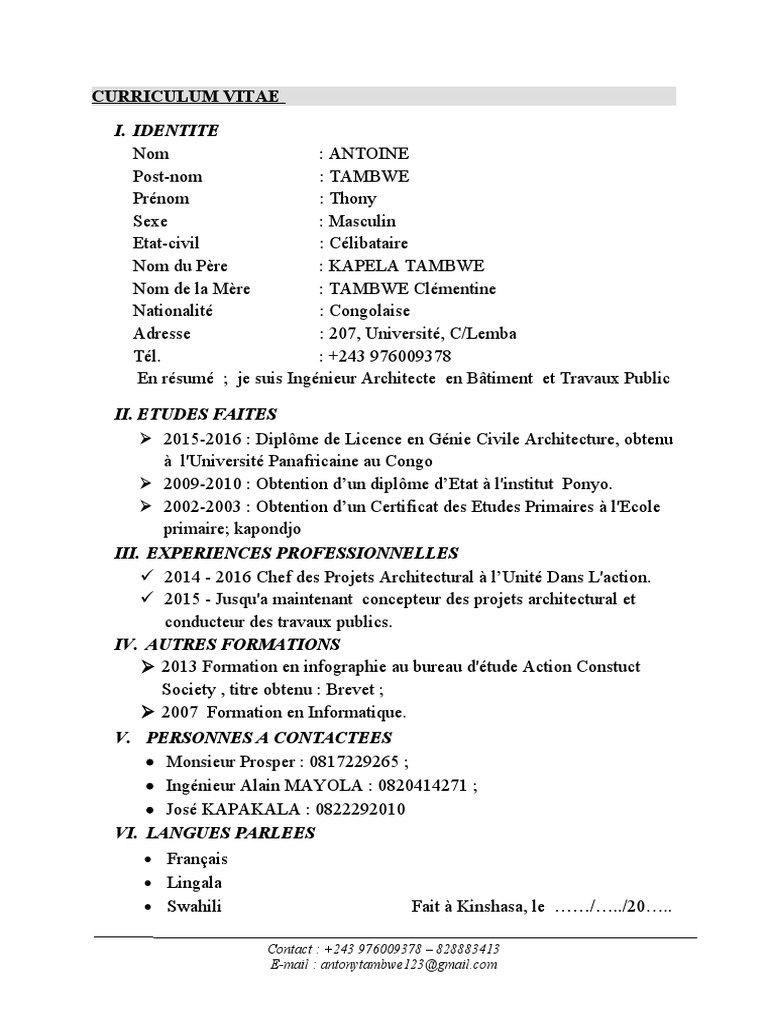 CV Ir Antoine - Copie | PDF