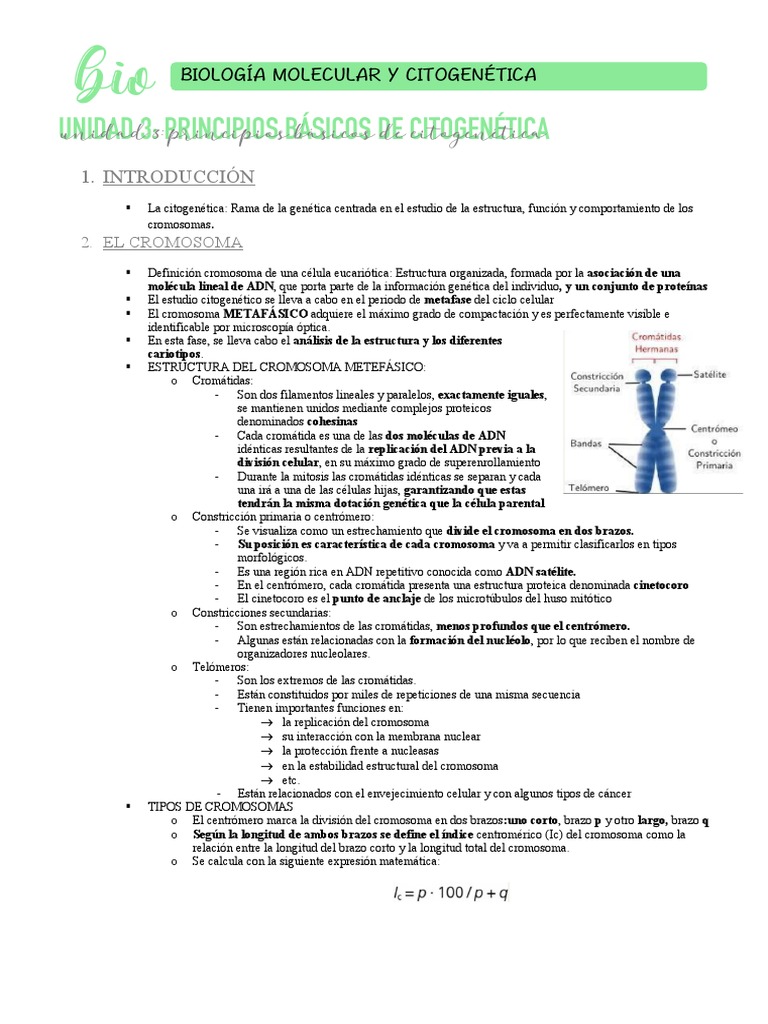 Unidad 3: Principios Básicos de Citogenética | PDF | Mitosis | Cromosoma