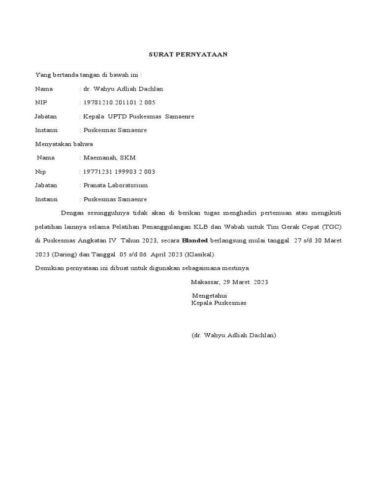 Surat Pernyataan Dan Biodata | PDF