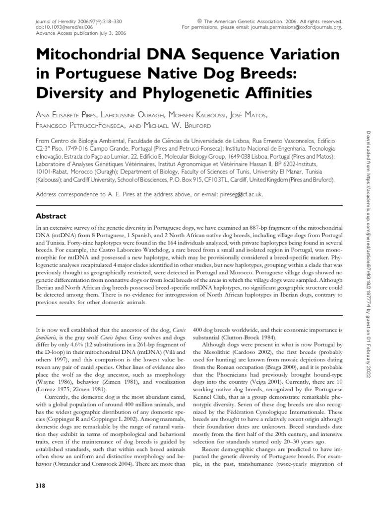Mitochondrial DNA Sequence Variation | PDF | Dog Breeds | Dogs