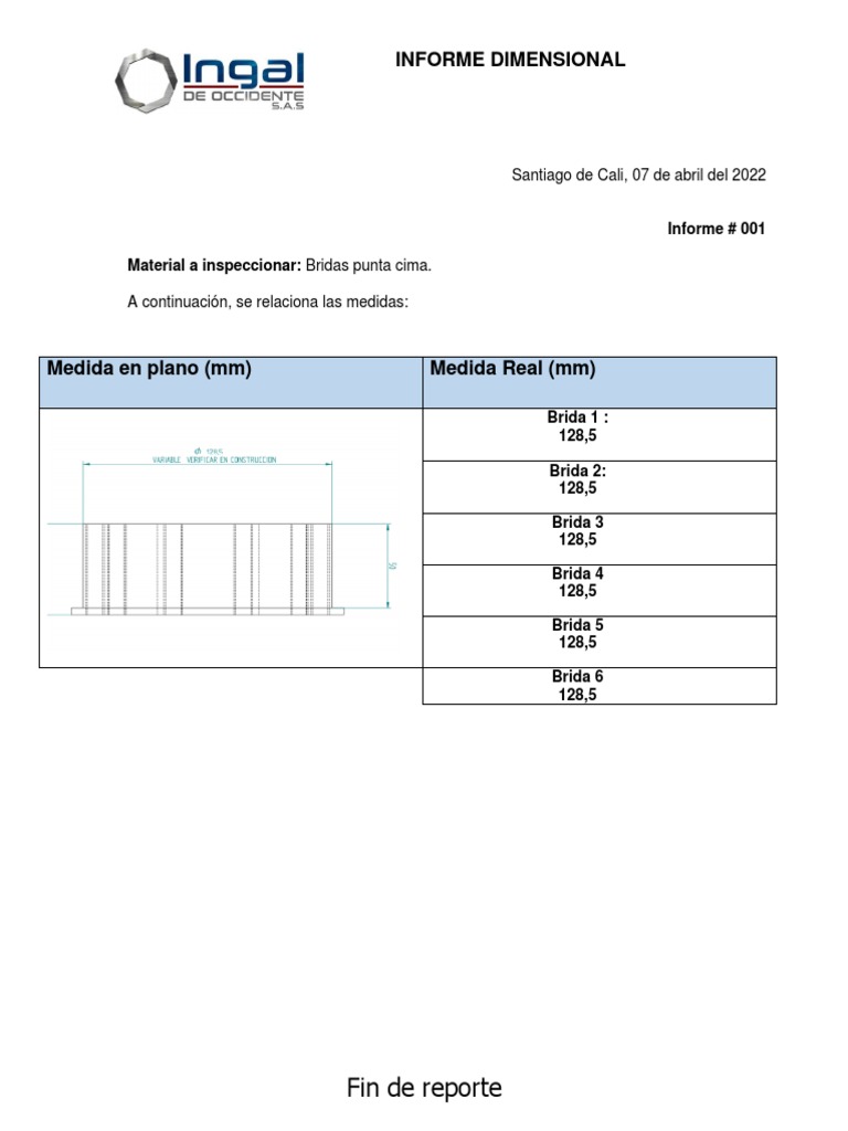 Informe Dimensional: Fin de Reporte | PDF | Ingeniería mecánica | Plomería