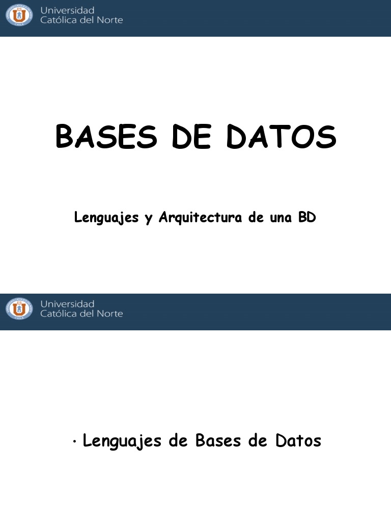 3.lenguajes y Arquitectura de Una BD | PDF | Bases de datos | SQL