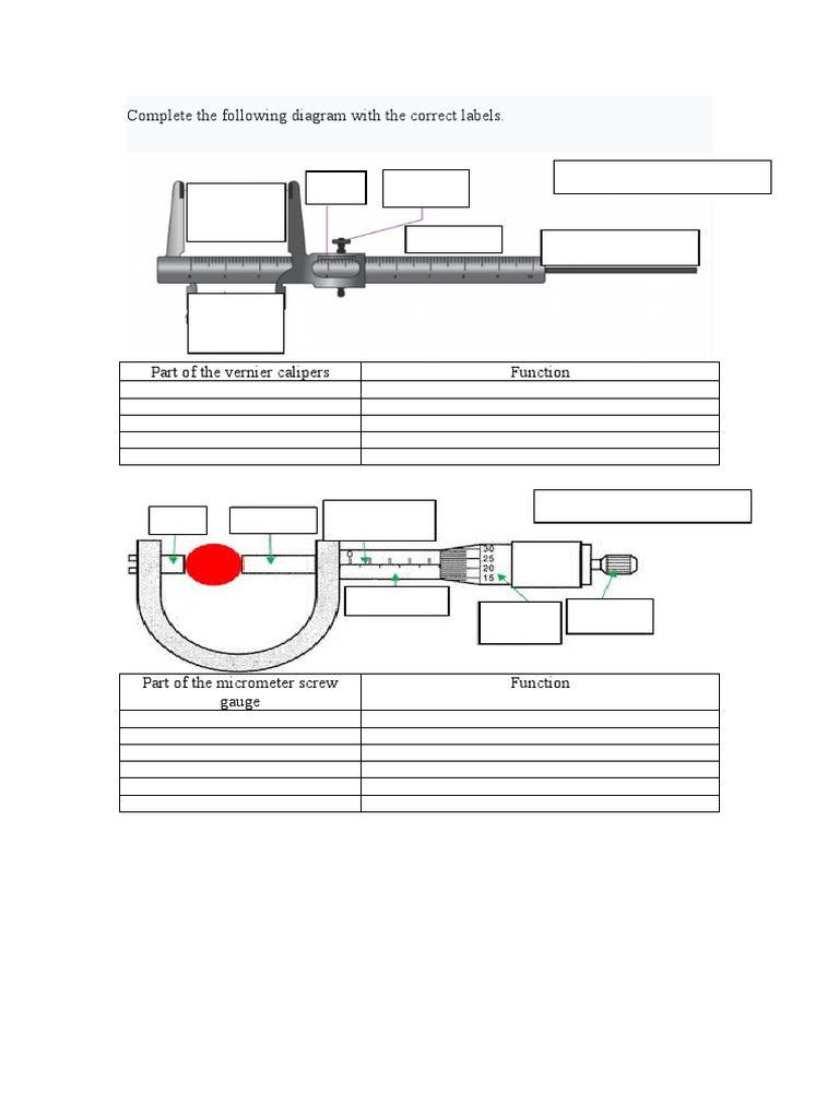 Complete The Following Diagram With The Correct Labels.: Part of The ...