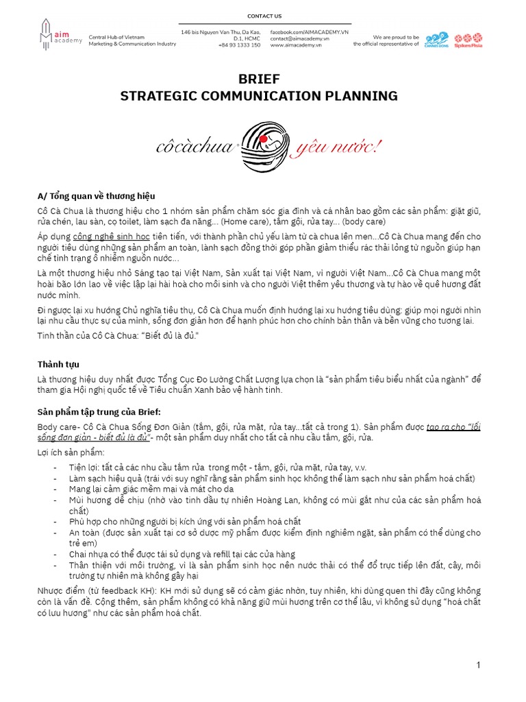 AIM Strategic Communication Planning Brief | PDF