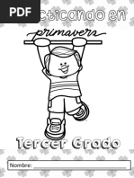 LENG - Guía de Trabajo Texto Informativo | PDF | Aves | Ornitología