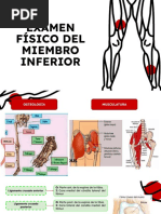 Movimientos de la Articulación Coxofemoral | PDF | Anatomía | Cadera