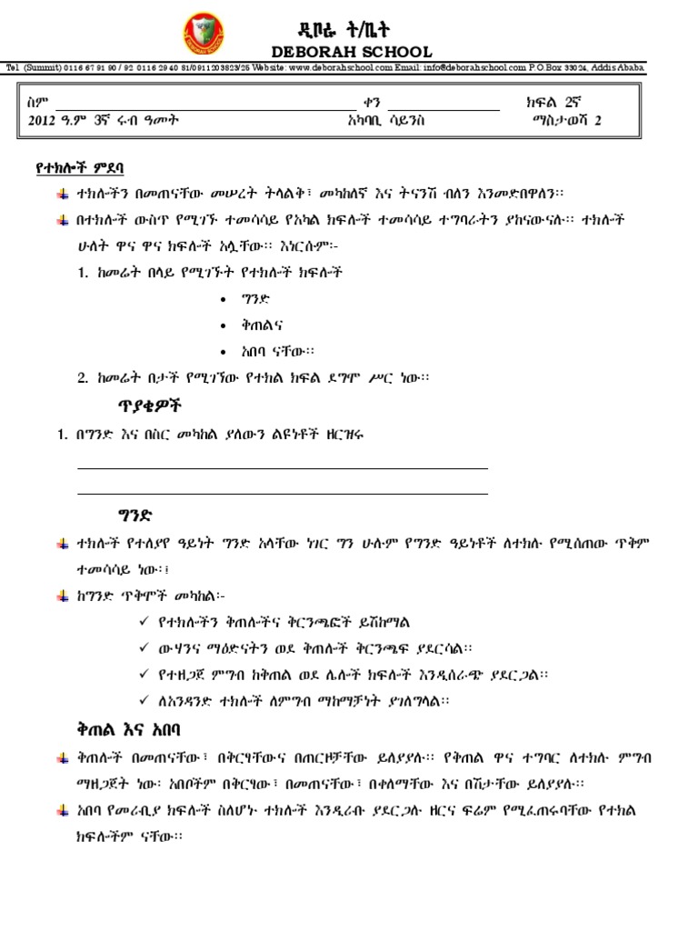 Deborah School | PDF