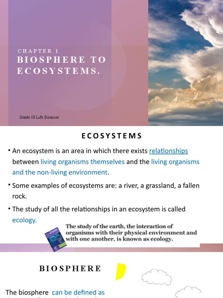Biosphere and Ecosystems for Grade 10 | PDF | Ecosystem | Soil