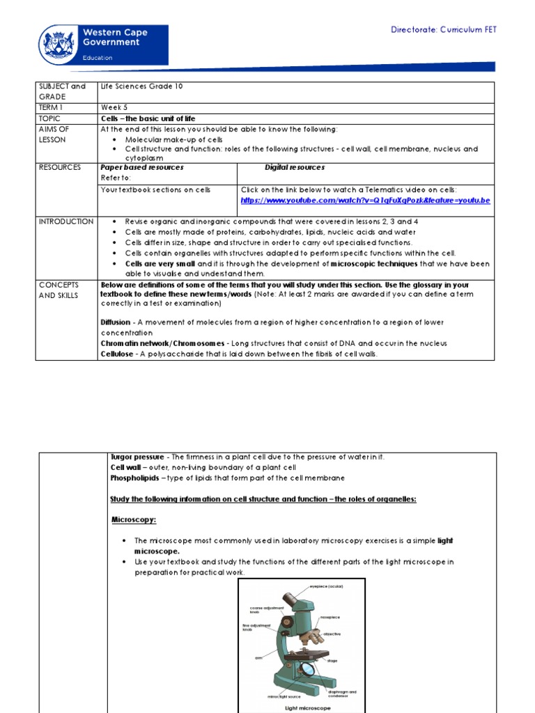 Life Sciences Grade 10 Term 1 Week 5 - 2021 | PDF | Cell (Biology ...