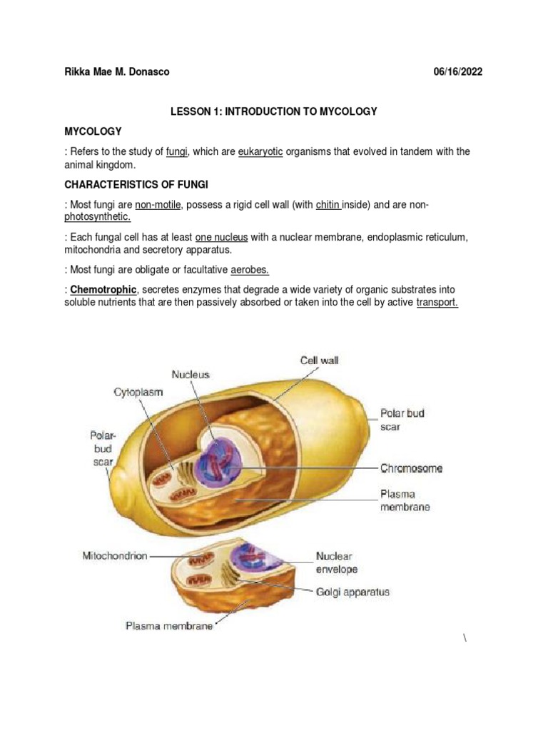 Lesson 1 Introduction To Mycology Handouts | PDF