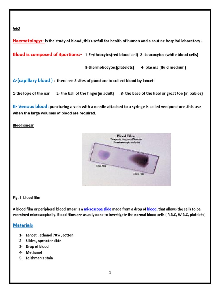 Blood Smear | PDF | Staining | Granulocyte