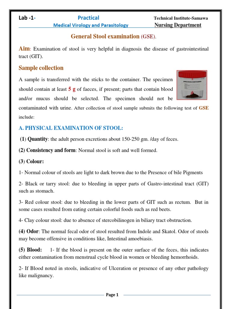 General Stool Examination: A Guide to Diagnosing Gastrointestinal ...