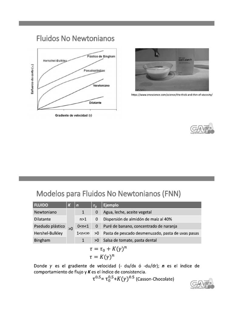 Fluidos No Newtonianos Pdf
