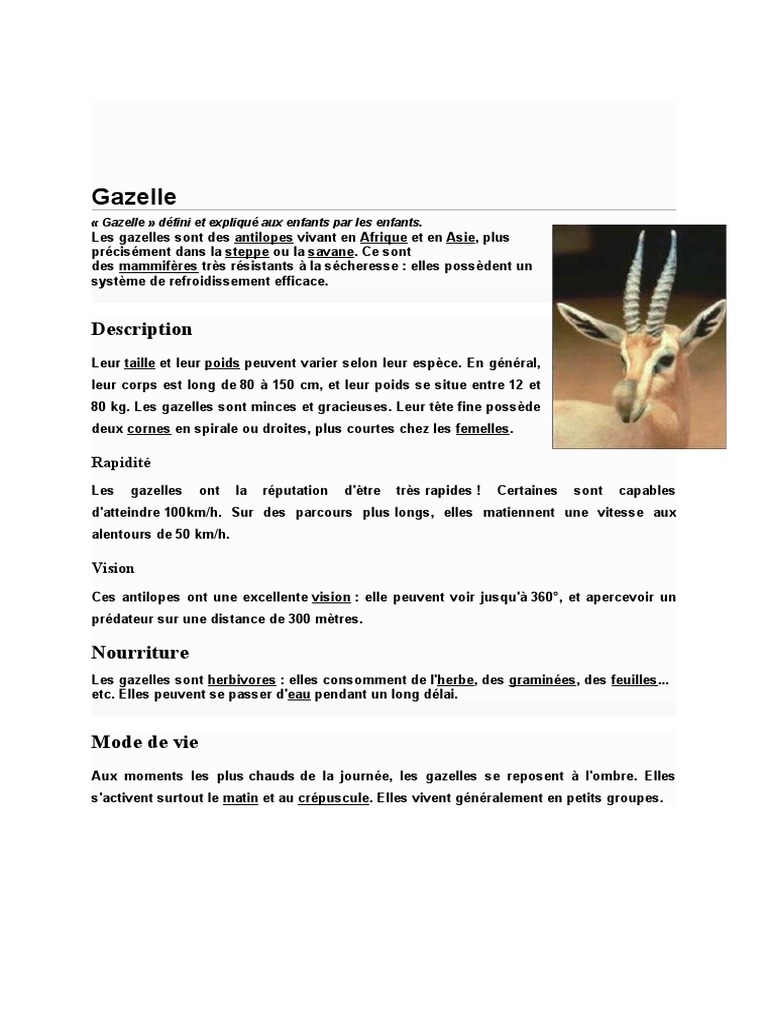 Gazelle | PDF
