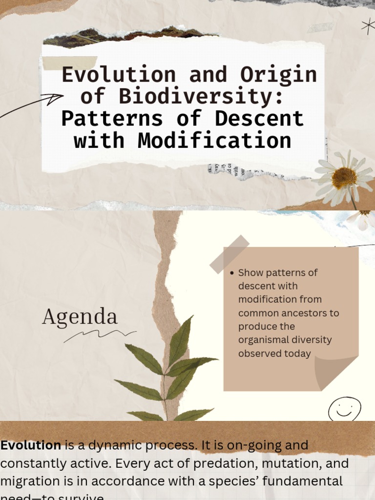 Descent With Modification | PDF