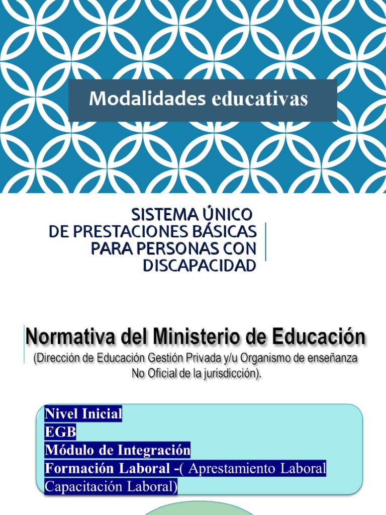 Ley 24901 Educacion | PDF