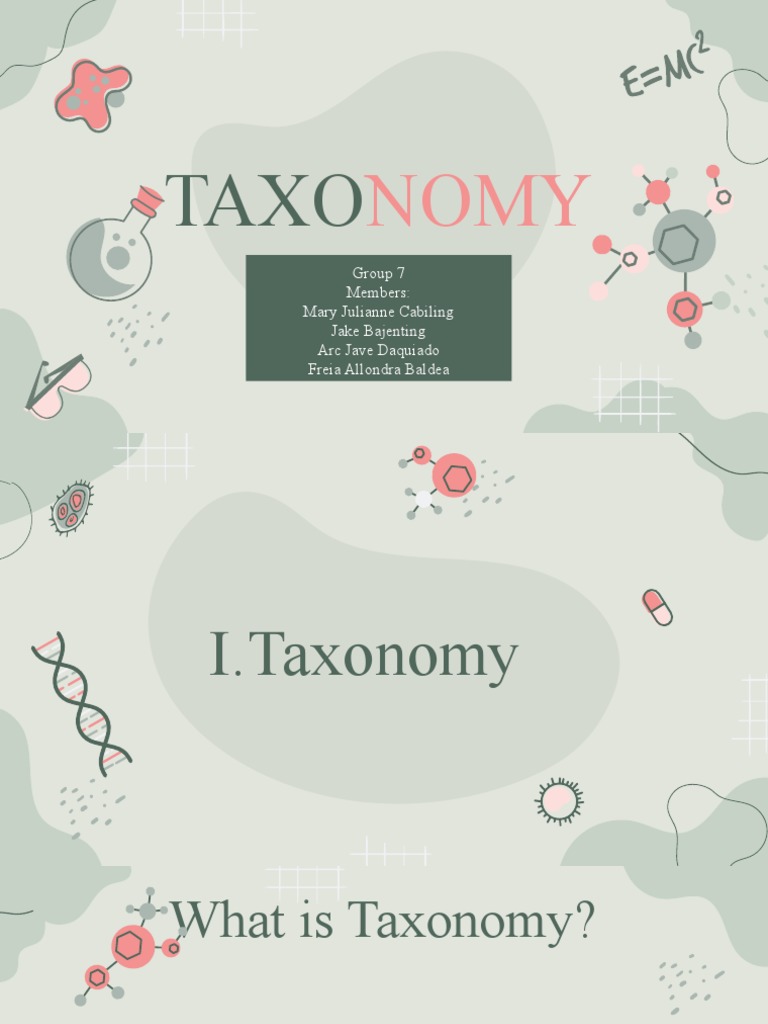 TOXONOMY | PDF | Invertebrate | Taxonomy (Biology)