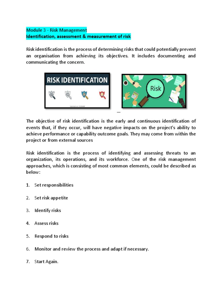Module 3 Risk MGMT | PDF
