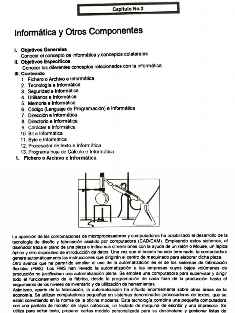 Capítulo sobre conceptos básicos de informática, incluyendo componentes ...