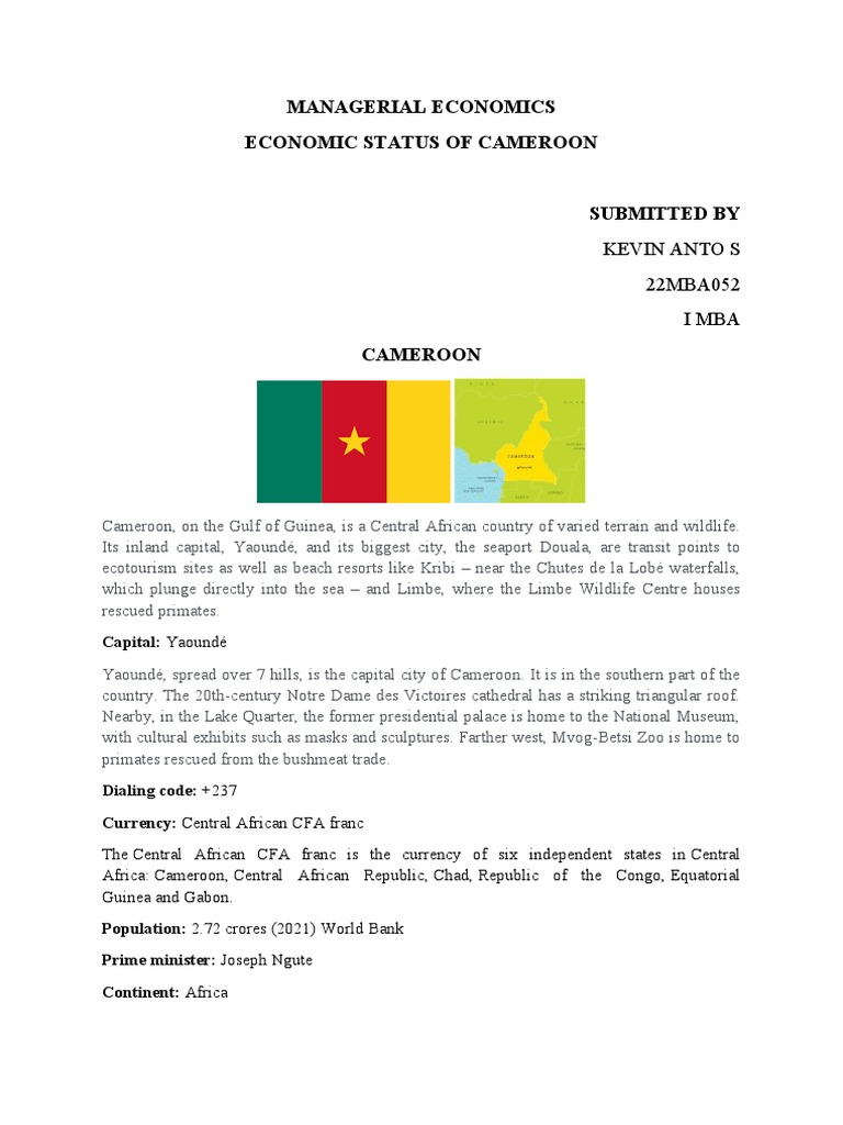 Economic Status of Cameroon | PDF