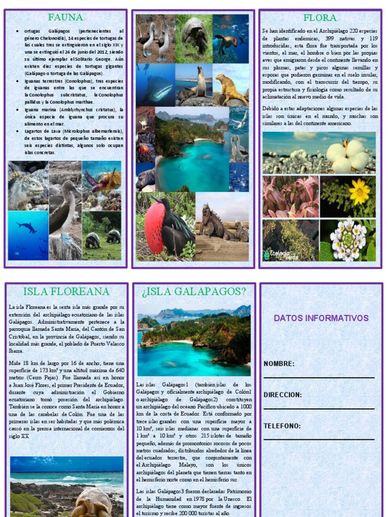 Triptico de Isla Galapagos | PDF | Islas Galápagos