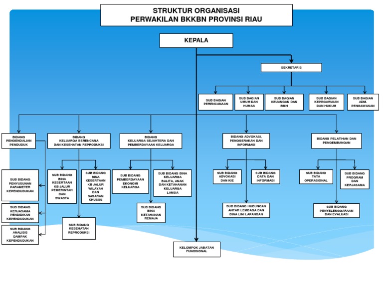 Struktur organisasi BKKBN | PDF