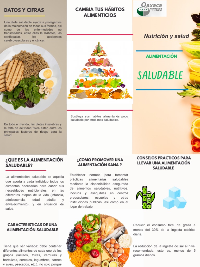 Triptico de Alm Saludable | PDF | Dieta | Nutrición