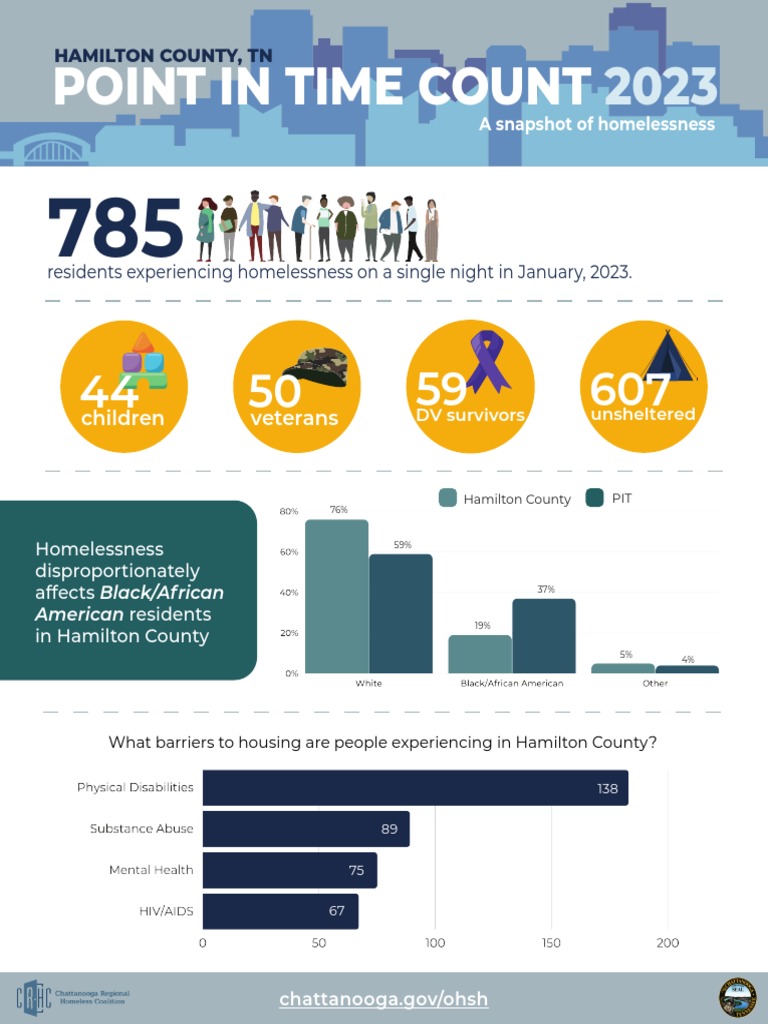 PIT Count 2023 Snapshot | PDF