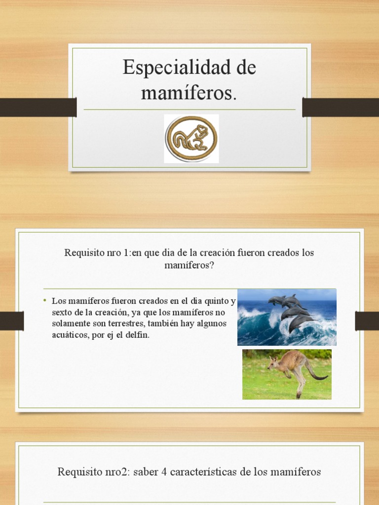 Características y grupos de mamíferos | PDF | Mamíferos | Roedor