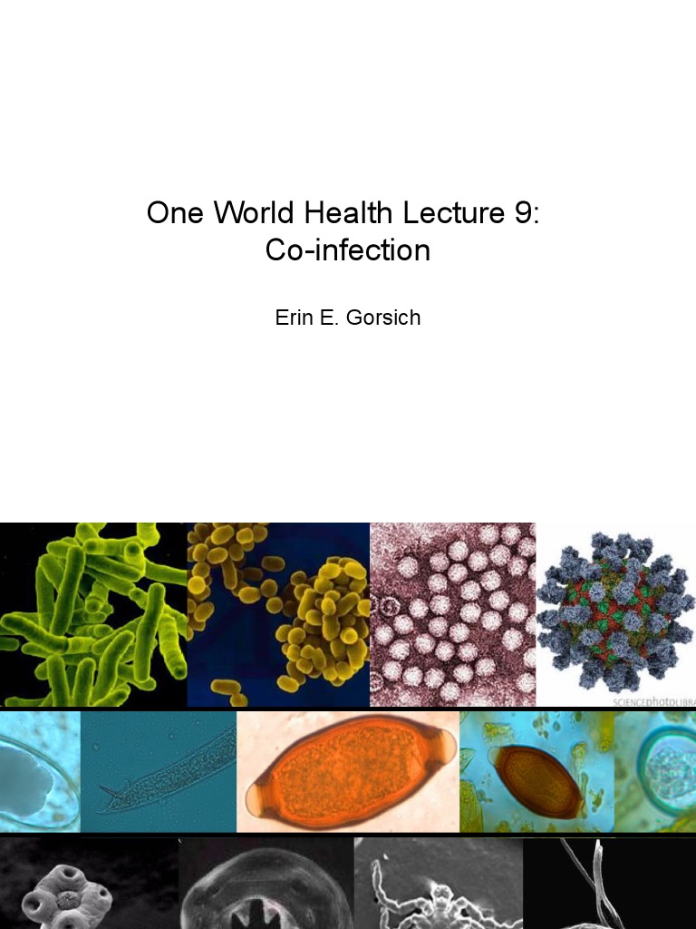 11 - Co Infection | Download Free PDF | Parasitism | Infection 11 - Co Infection | Download Free PDF | Parasitism | Infection