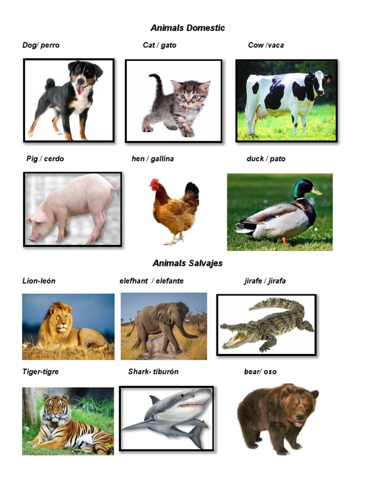Animales Domesticos Salvajes | PDF