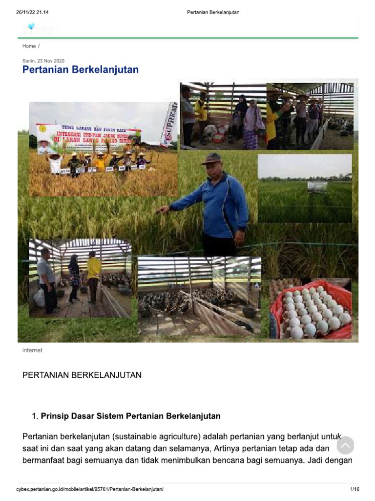 Sistem pertanian berkelanjutan | PDF