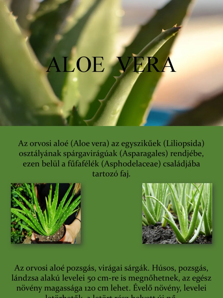Aloe Vera | PDF