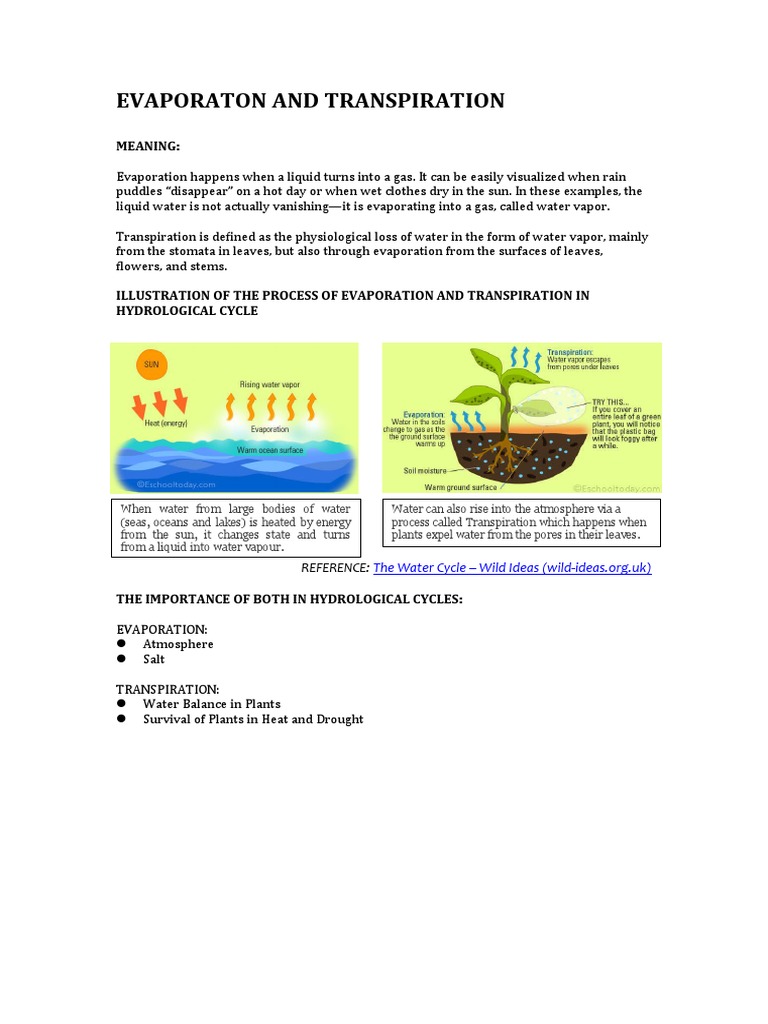 Understanding Evaporation & Transpiration | PDF | Home & Garden