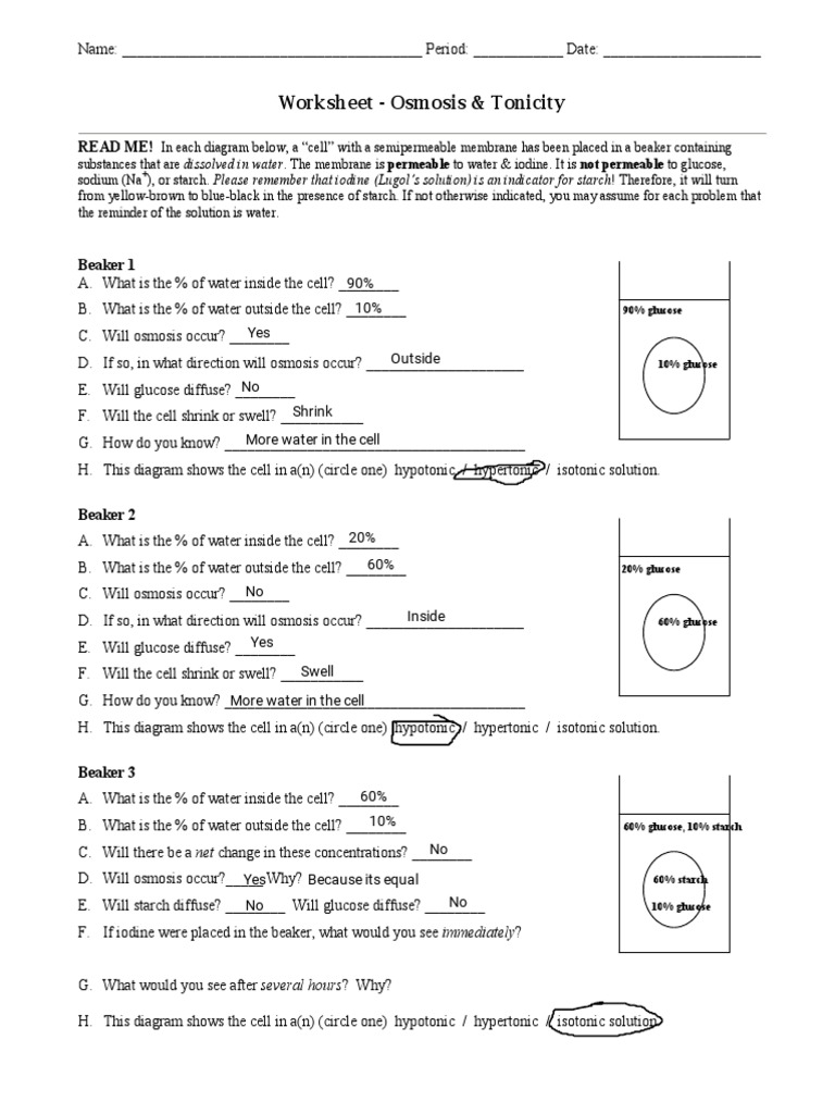 Osmosis and Tonicity Practice Worksheet | PDF | Osmosis | Physical Sciences