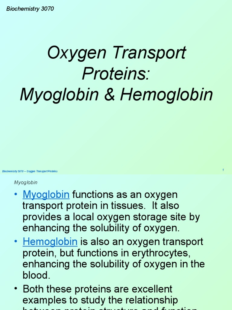 Oxygen Transport Proteins: Myoglobin & Hemoglobin | PDF | Hemoglobin ...