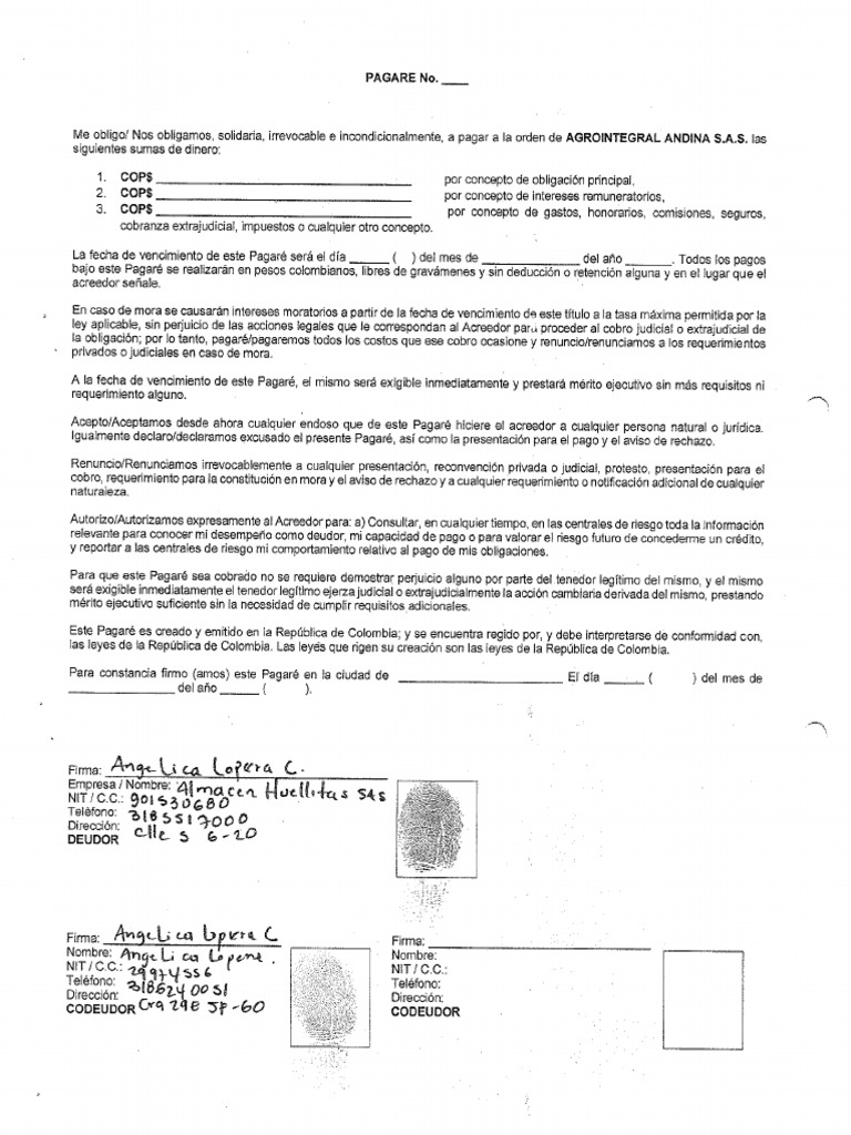 Modelo Firma Pagare y Carta Instruc P.juridica | PDF