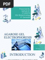 Interpreting Gel Electrophoresis Results | PDF | Gel Electrophoresis ...