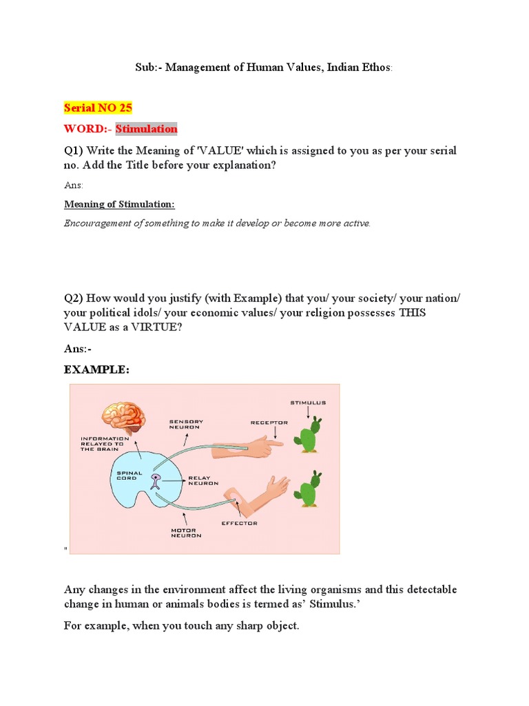 MHV Assignment 1 | PDF