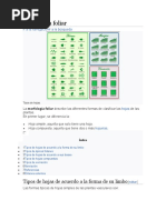Tipos de hojas según su forma y estructura | PDF | Hoja | Botánica