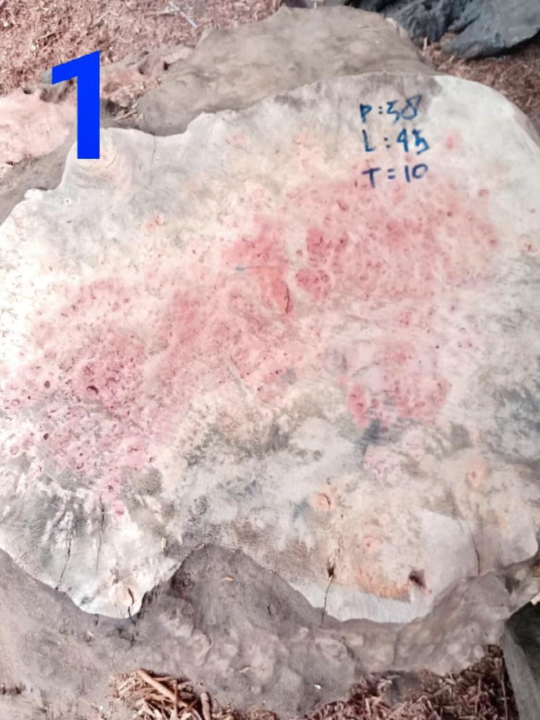 Grupel Dedy (Scan PDF | PDF