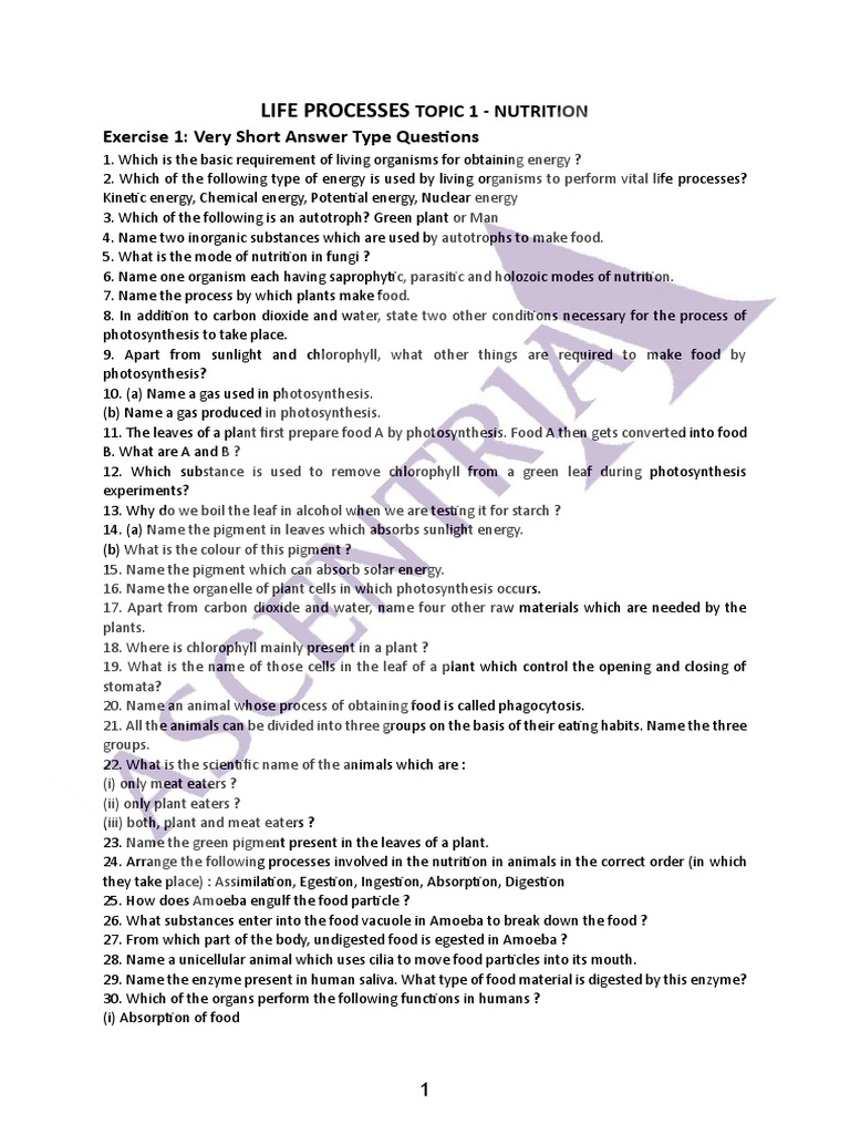 Life Processes-1-20 | PDF | Digestion | Nutrition