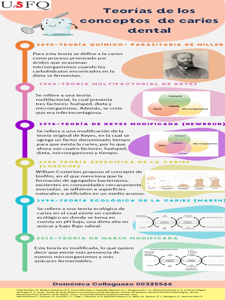 Teorías de la Caries Dental | PDF | Especialidades Medicas | Química