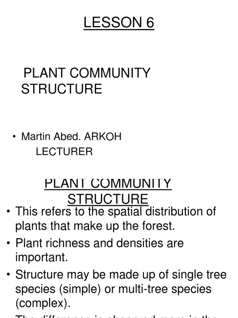 Plant Ecology Lesson 6 | PDF | Trees | Canopy (Biology)