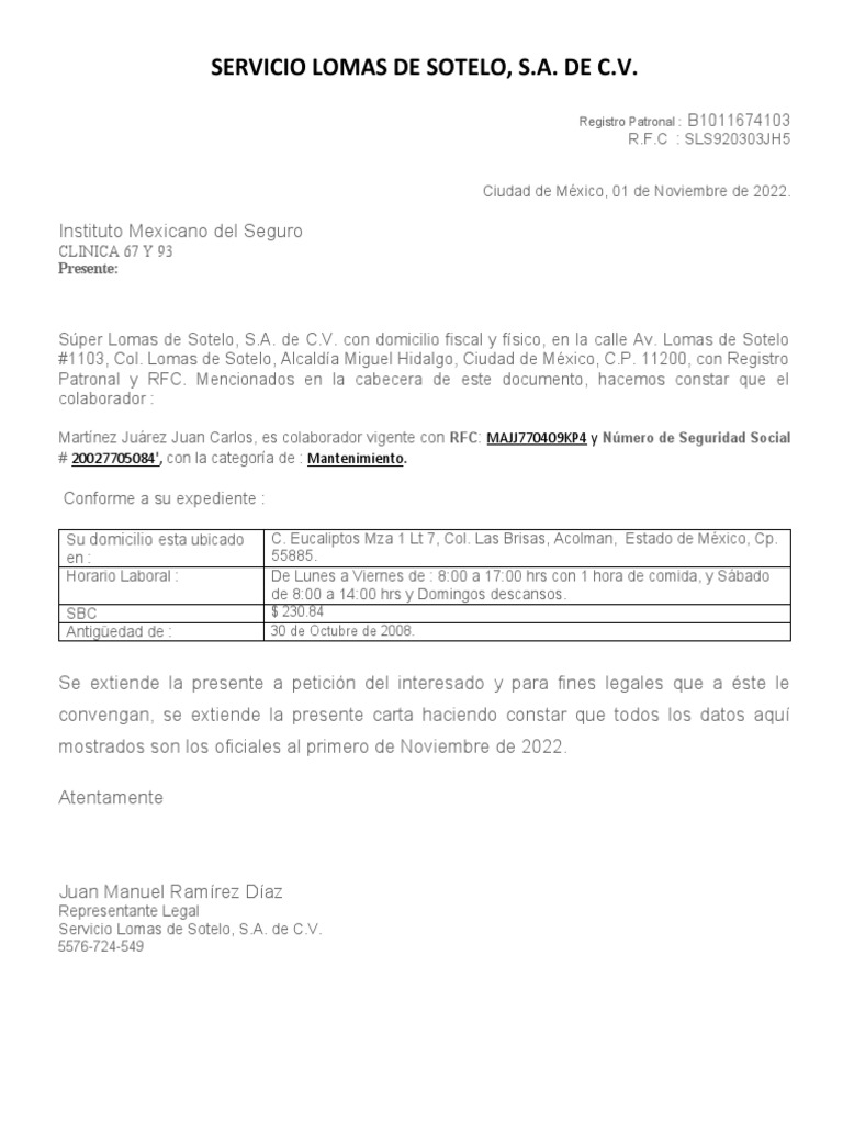 Carta Constancia Imss | PDF