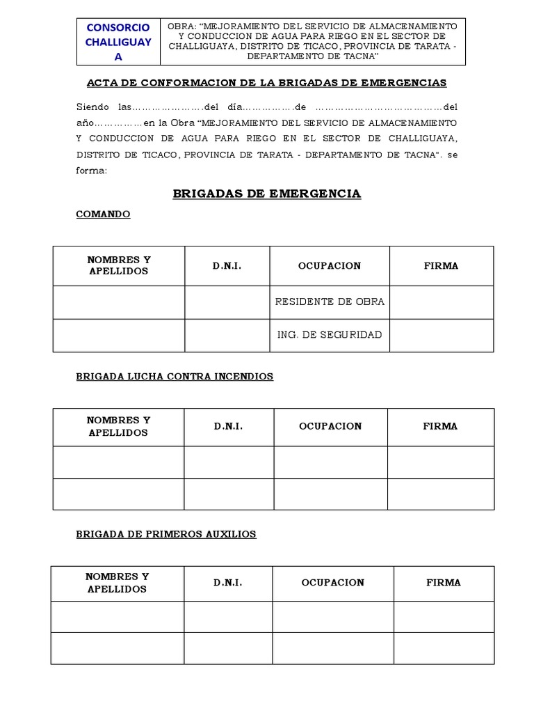 Anexo 5 Formato de Conformacion de Brigadas de Emergencia | PDF