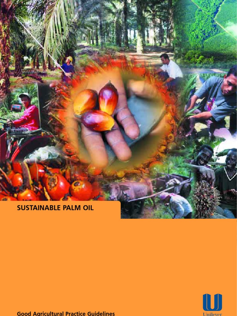Sustainable Palm Oil | PDF | Fertilizer | Soil
