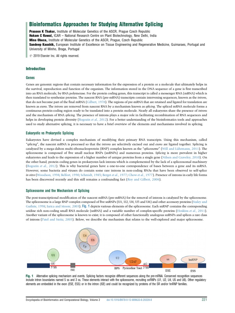 Alternative Splicing | PDF | Alternative Splicing | Rna Splicing